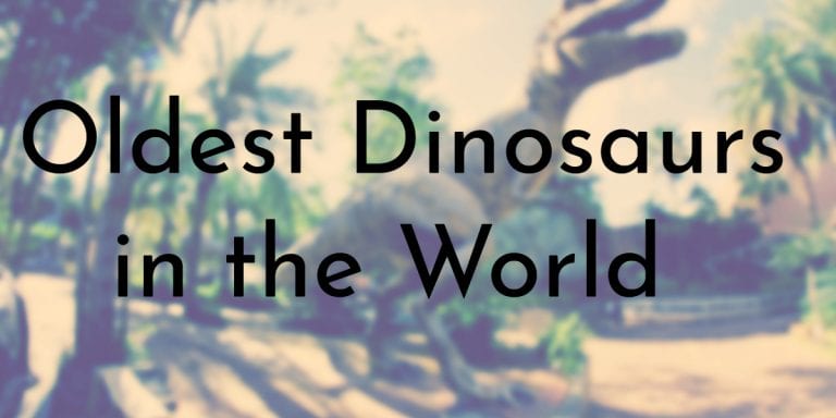 10 Oldest Dinosaurs Ever Discovered in the World - Oldest.org