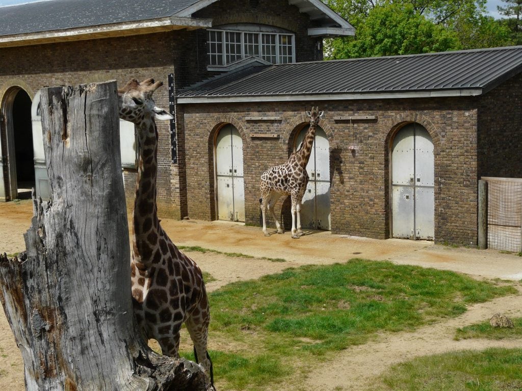 11 Oldest Zoos in the World - Oldest.org