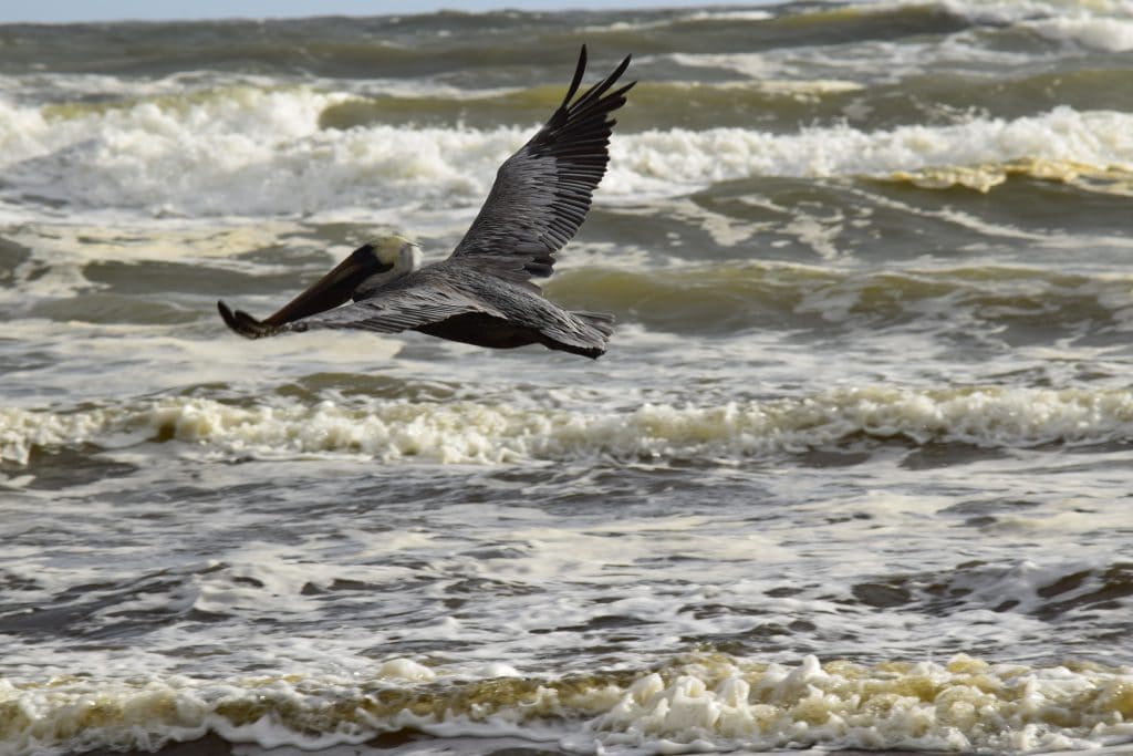 5 Oldest Oceans in the World - Oldest.org