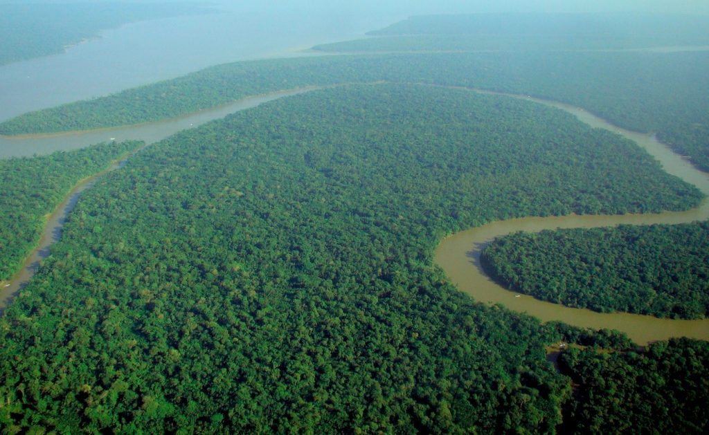 10 Oldest Rainforests in the World - Oldest.org