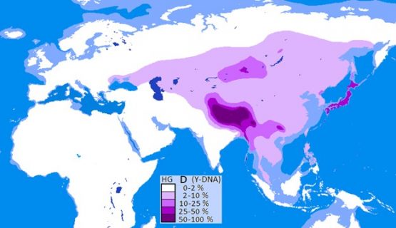 8 Oldest Haplogroups and the Regions they Originated From - Oldest.org