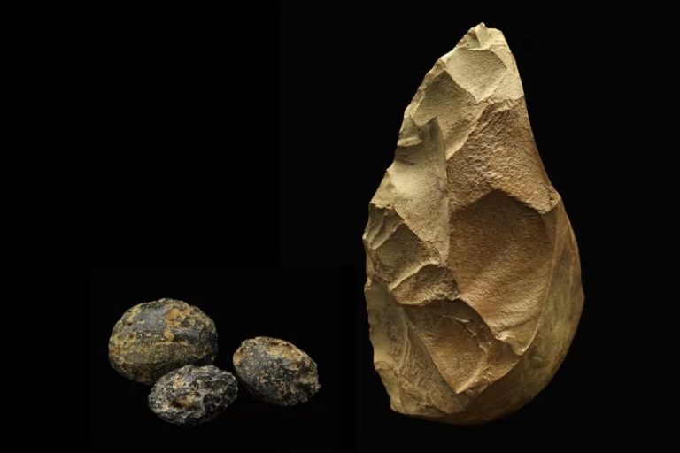 7 Oldest Stone Tools Ever Found - Oldest.org 7 Oldest Stone Tools Ever Found - Oldest.org