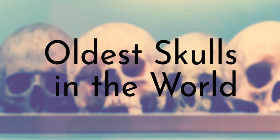 12 Oldest Skulls in the World - Oldest.org