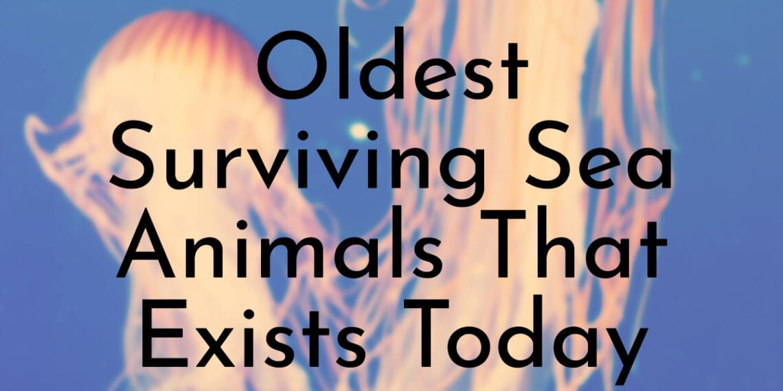 9 Oldest Sea Animals Still in Existence - Oldest.org
