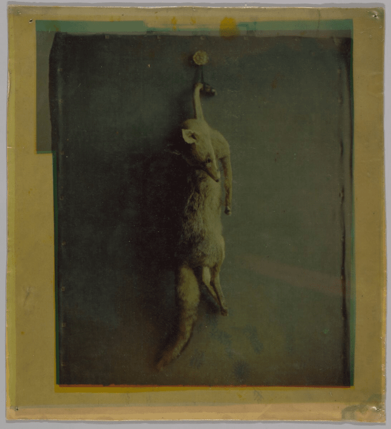 8 Oldest Color Photographs - Oldest.org