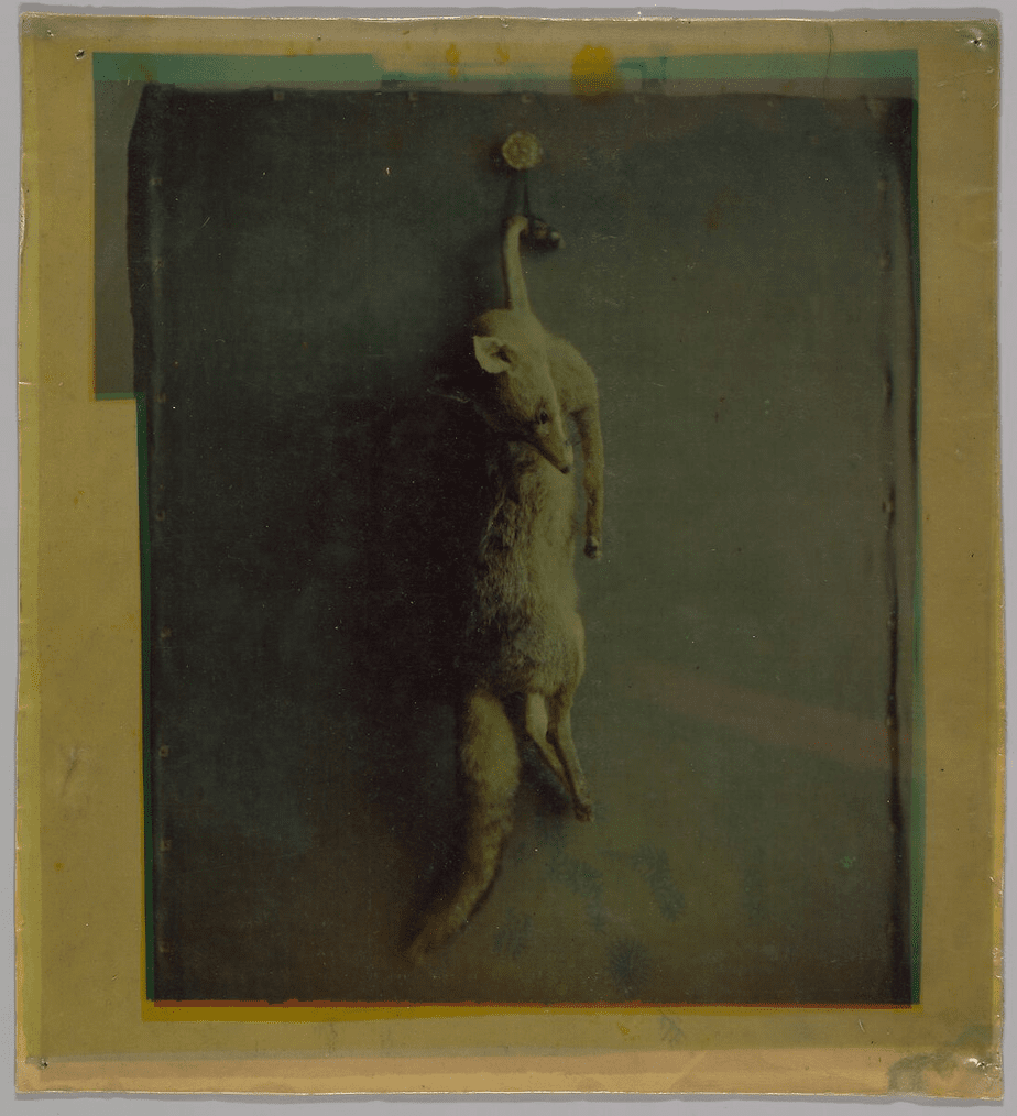 8 Oldest Color Photographs - Oldest.org