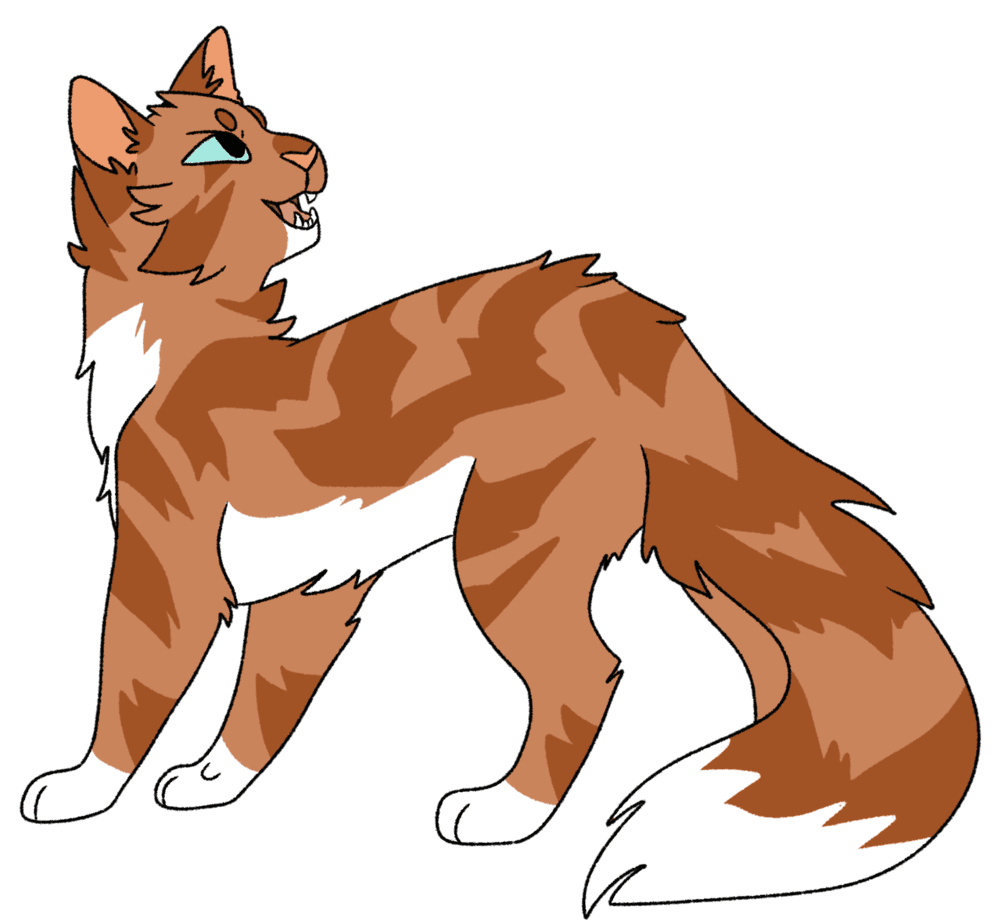 10 Oldest Warrior Cats - Oldest.org