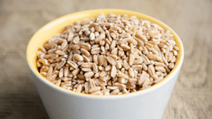 9 Oldest Grains in the World - Oldest.org