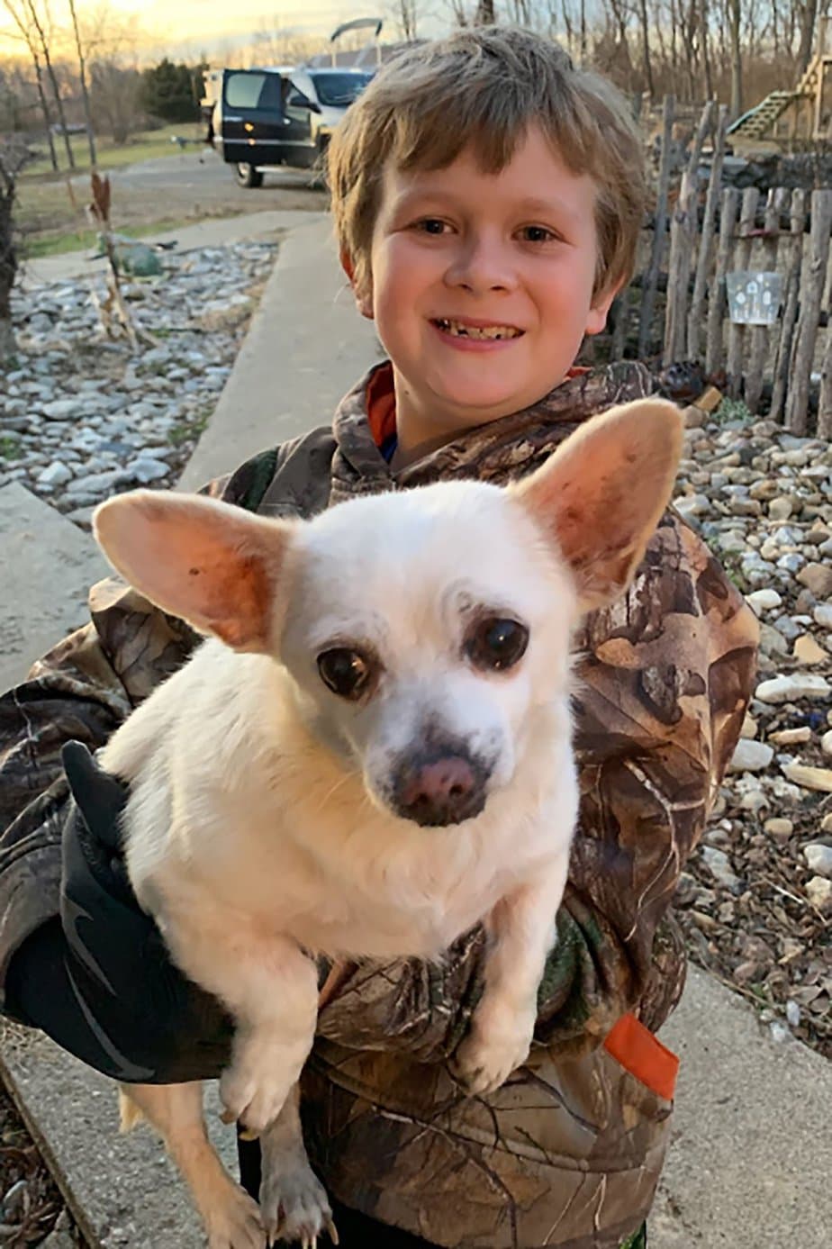 Oldest Living Dogs - Oldest.org