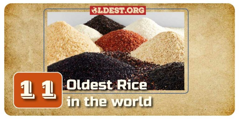 11 of the Oldest Varieties of Rice - Oldest.org