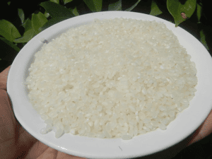 11 of the Oldest Varieties of Rice - Oldest.org