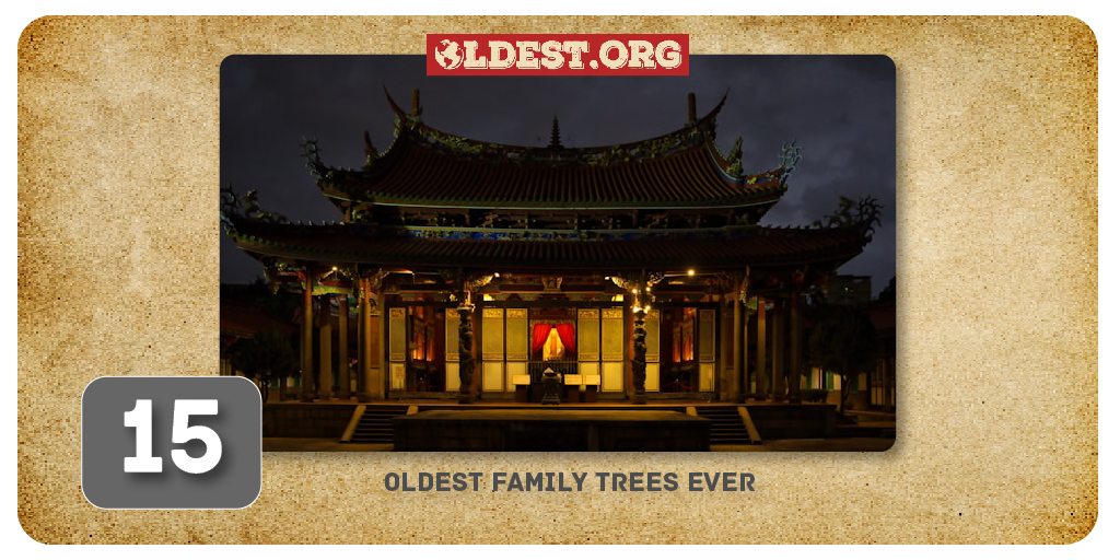 15 Oldest Family Trees Ever - Oldest.org