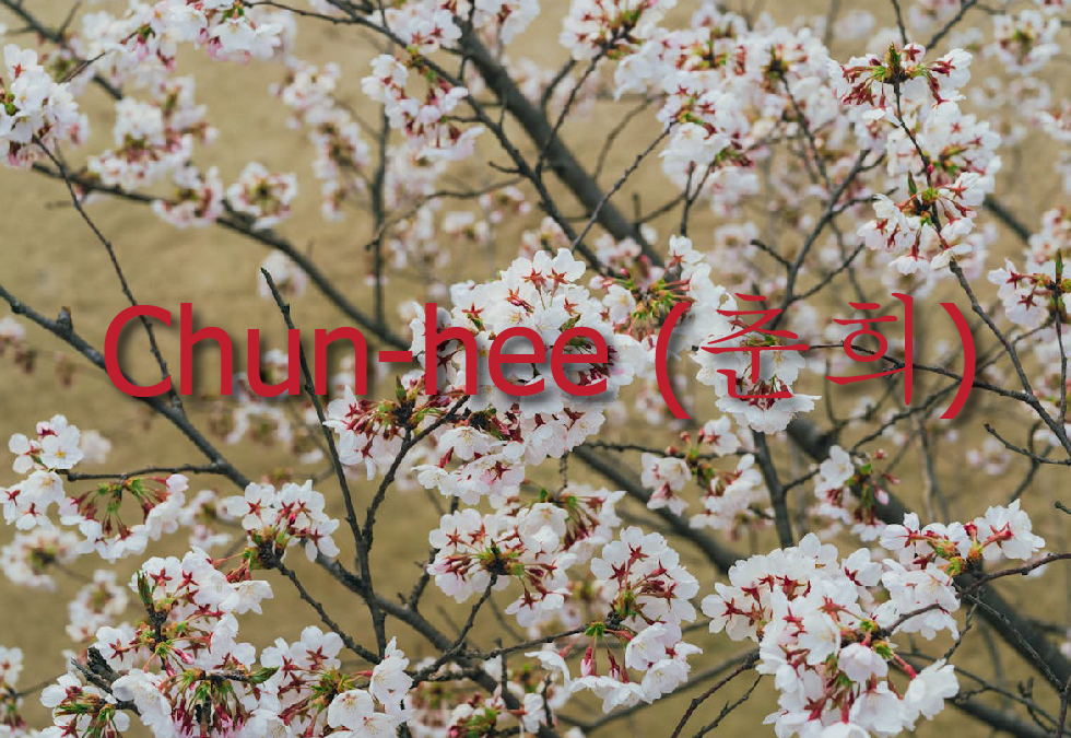 15 Rarest Korean Girl Names & Their Beautiful Meanings - Oldest.org