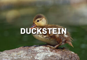 20 Rarest Last Names in The United States