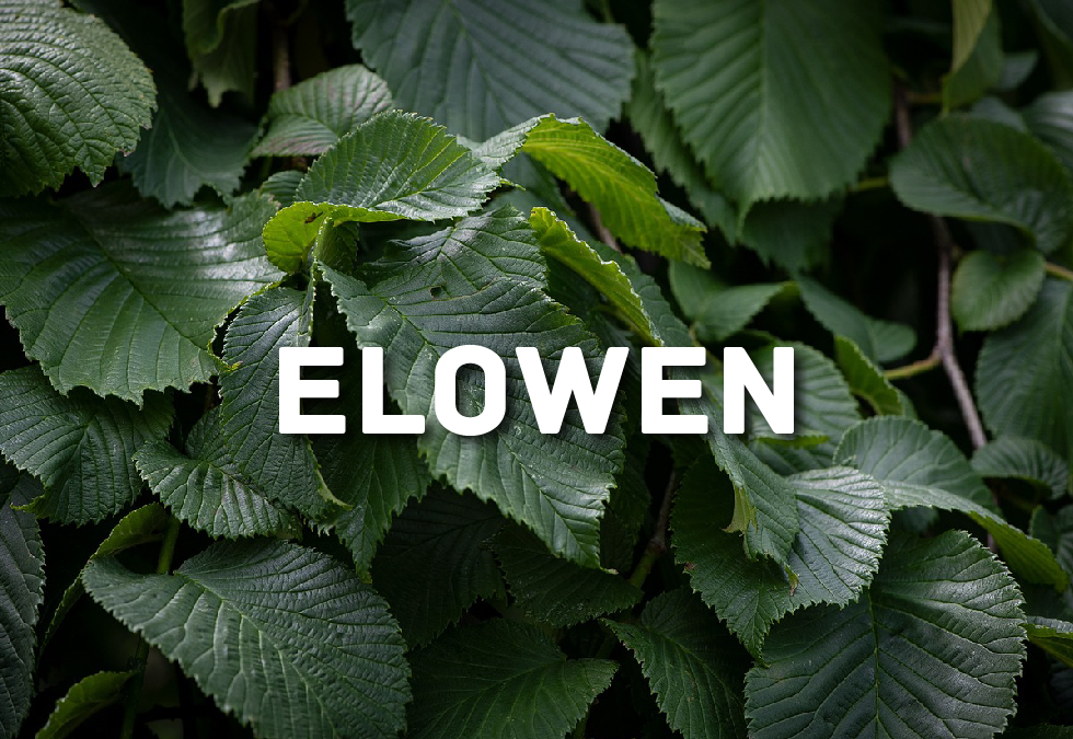 20 Rarest Girl Names in the USA - Oldest.org