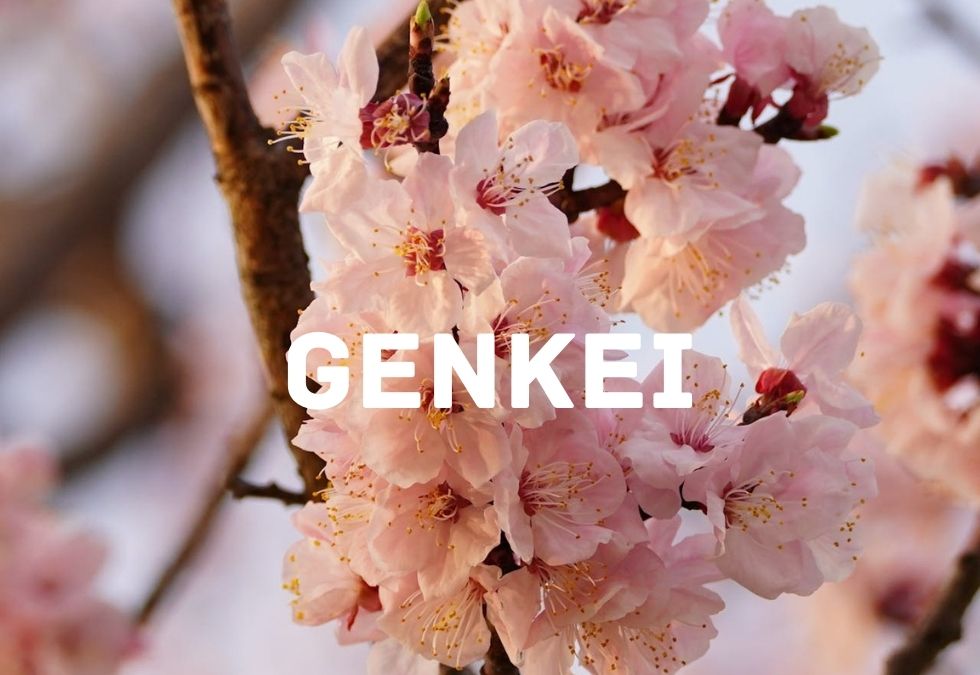 18 Rarest Japanese Names For Your Baby - Oldest.org