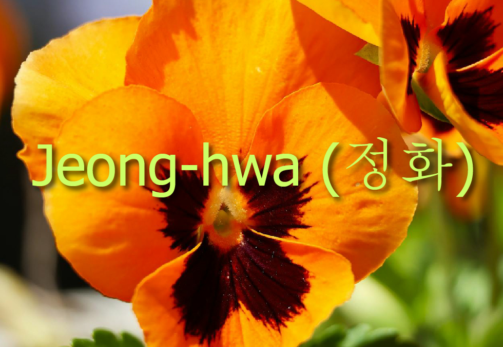 15 Rarest Korean Girl Names & Their Beautiful Meanings - Oldest.org