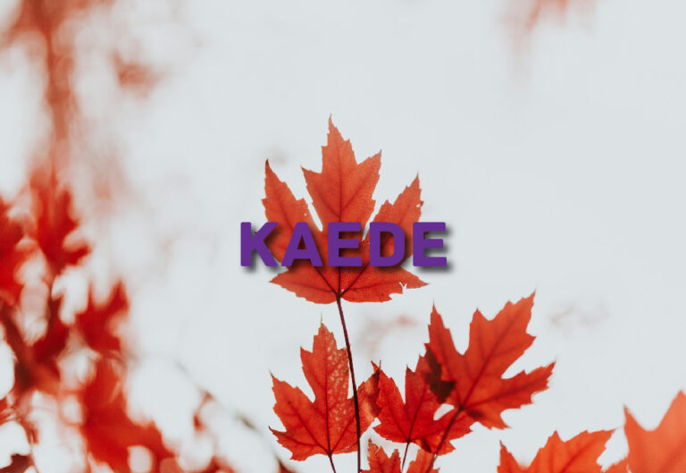 18 Rarest Japanese Names For Your Baby - Oldest.org