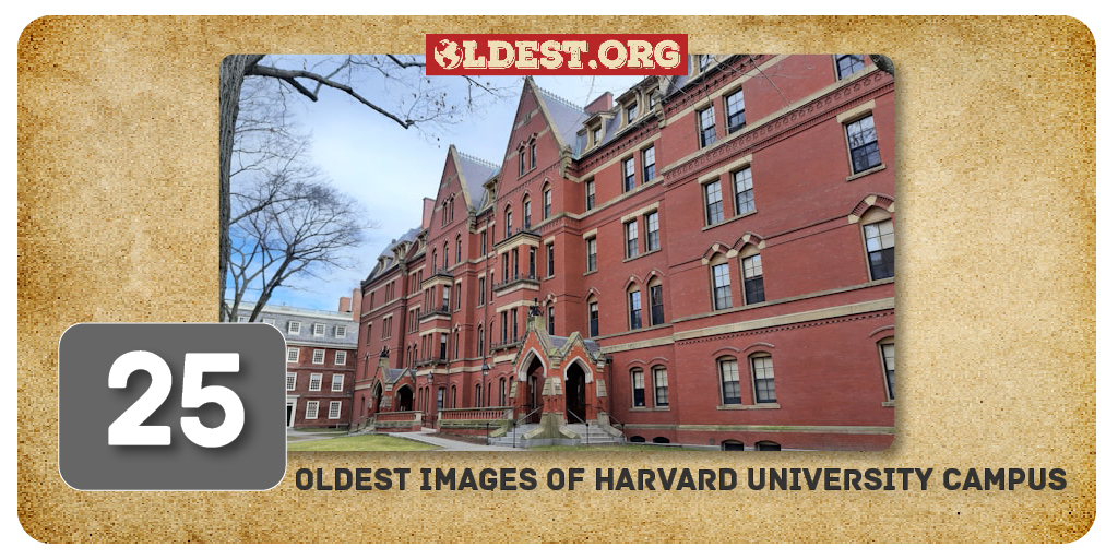 25 Oldest Images Of Harvard University Campus - Oldest.org