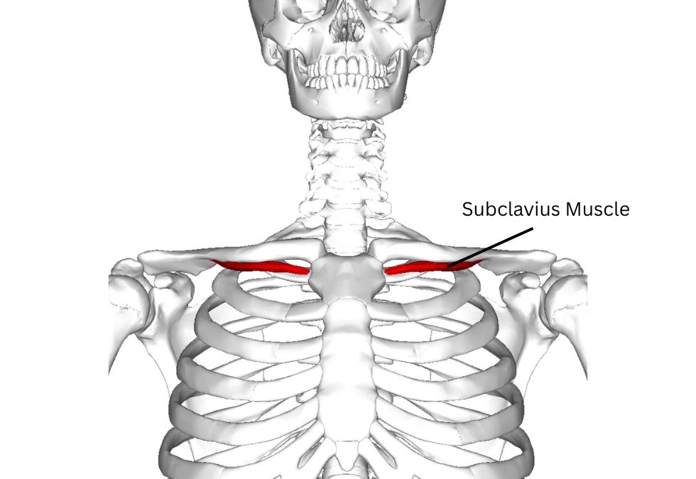 20 Surprising Body Parts You Didn't Know You Have - Oldest.org
