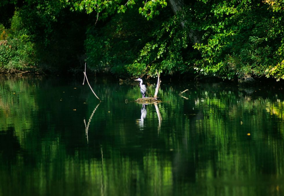 12 Largest Catfish Catch Ever - Oldest.org