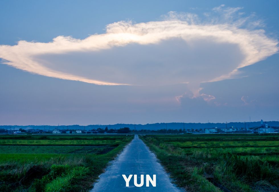 13 Rare Chinese Surnames Ever - Oldest.org