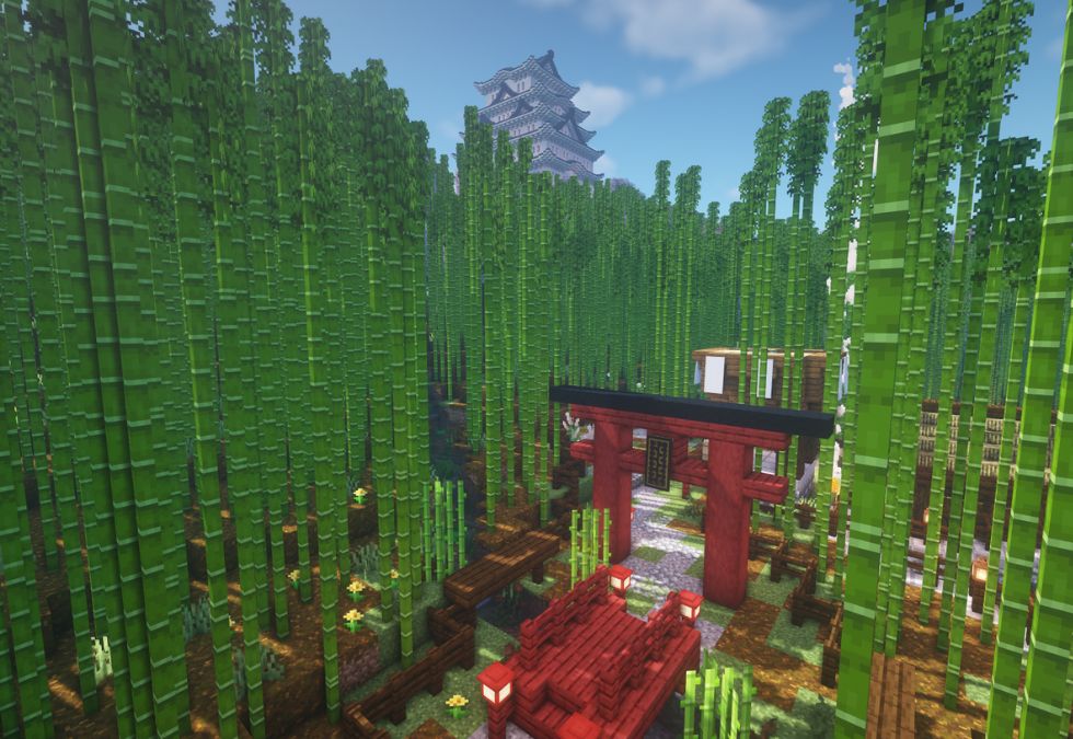 11 Rarest Biomes In Minecraft - Oldest.org