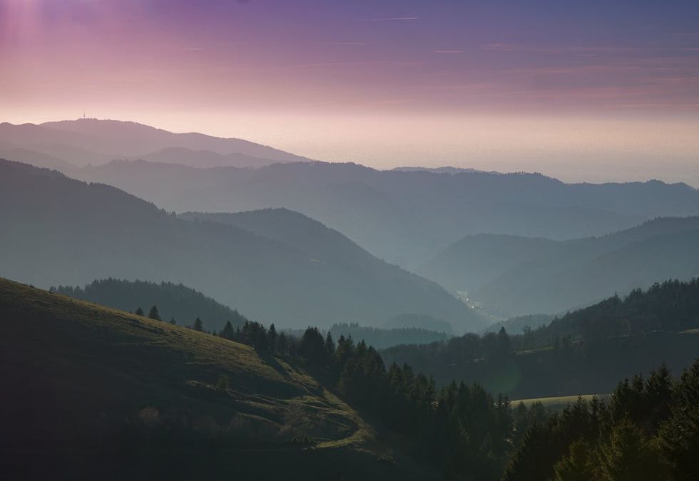 15 Extraordinary Forests That Hold Natural Mysteries - Oldest.org