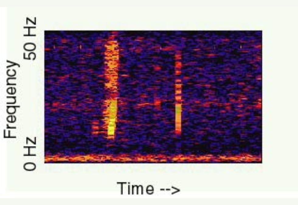 20 Mysterious Sounds From Nature That Still Puzzle Scientists