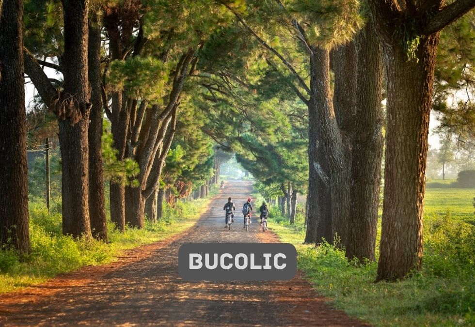 35 Rare Words To Enrich Your Vocabulary - Oldest.org