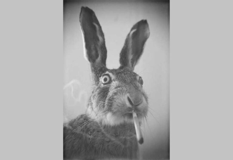 30 Rarest Cursed Images On The Internet - Oldest.org