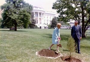 28 More Photos Of What The World Looked Like In 1971 - Oldest.org