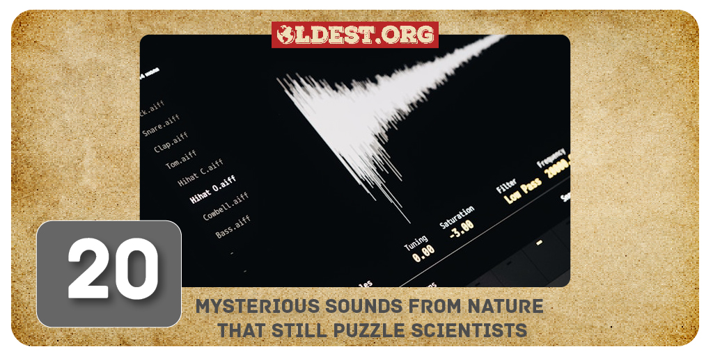 20 Mysterious Sounds From Nature That Still Puzzle Scientists
