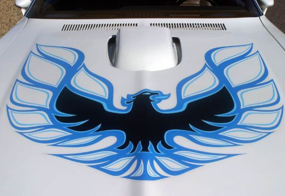 25 Wild Muscle Car Paint Jobs That Defined the 1970s