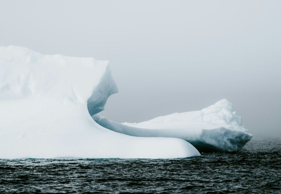 20 Mysterious Sounds From Nature That Still Puzzle Scientists