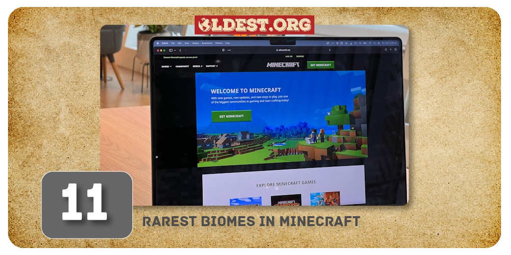 11 Rarest Biomes In Minecraft - Oldest.org