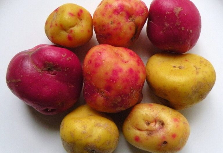 21 Rare Vegetables That Are Worth the Hunt - Oldest.org