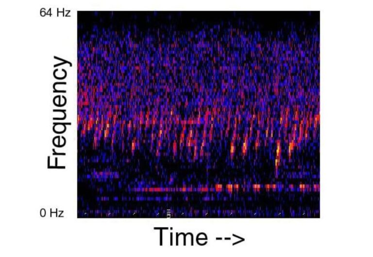 20 Mysterious Sounds From Nature That Still Puzzle Scientists