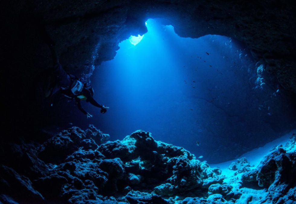 20 Mysterious Sounds From Nature That Still Puzzle Scientists