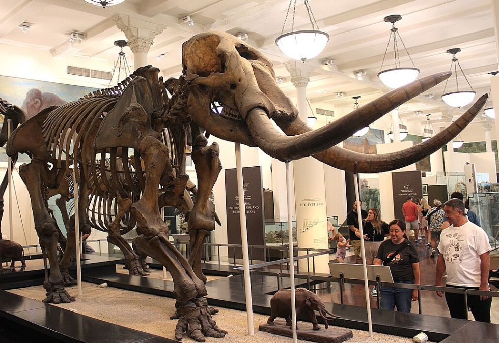 12 Prehistoric Monsters That Might Not Be Legends After All