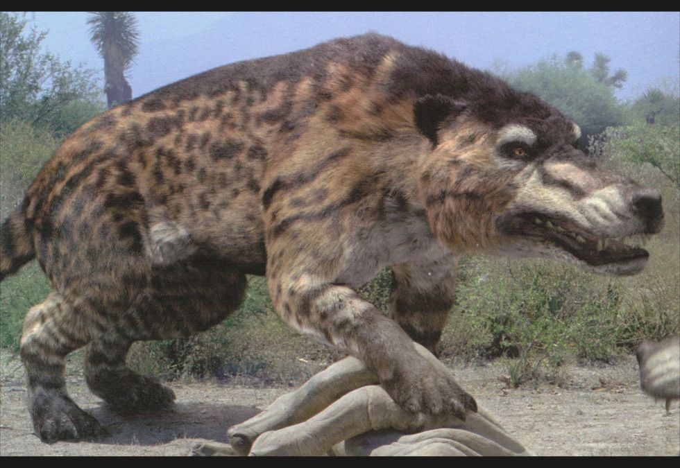 30 Deadliest Prehistoric Creatures That Once Ruled Our Planet