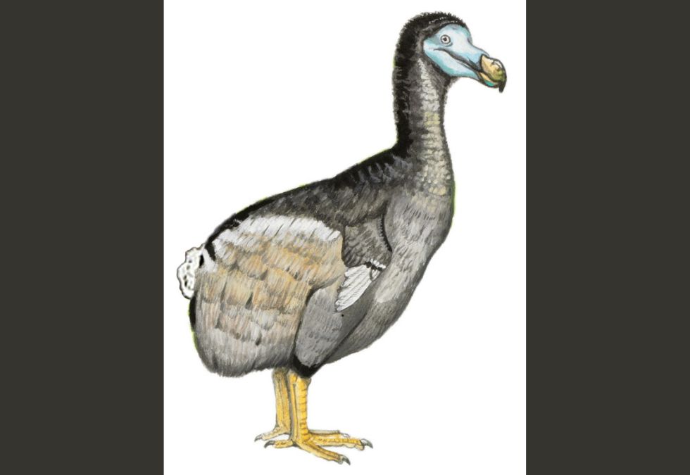 10 Extinct Creatures Scientists Are Trying To Bring Back To Life