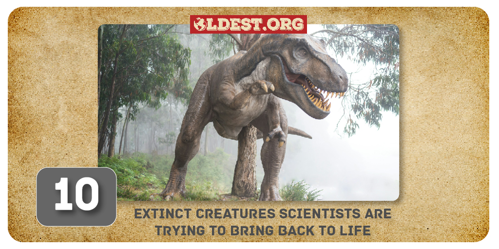 10 Extinct Creatures Scientists Are Trying To Bring Back To Life