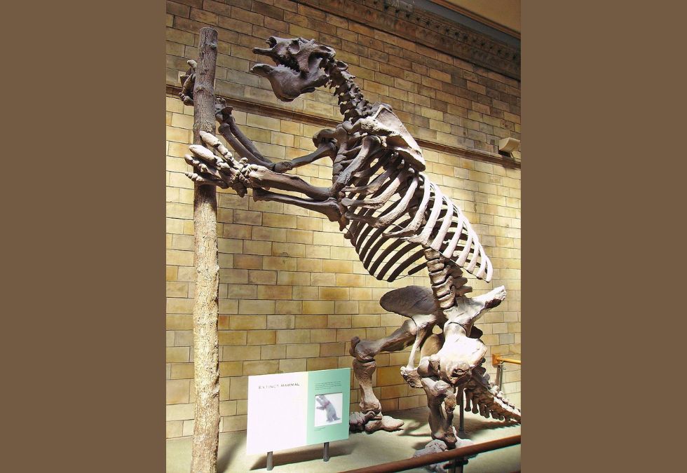 12 Prehistoric Monsters That Might Not Be Legends After All