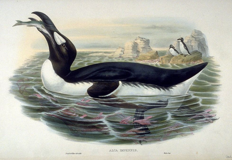 10 Extinct Creatures Scientists Are Trying To Bring Back To Life