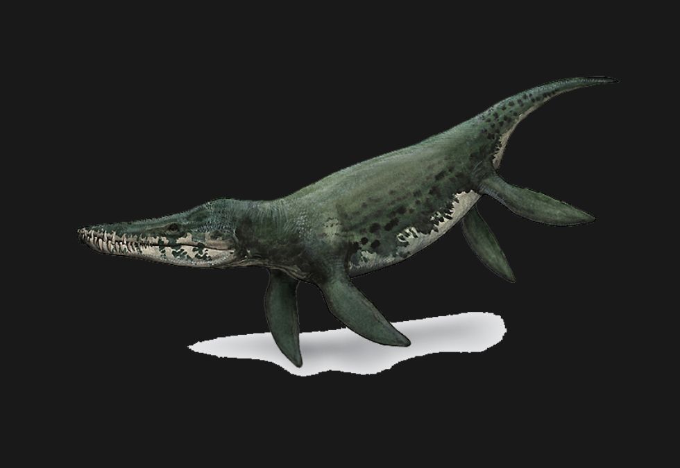 30 Deadliest Prehistoric Creatures That Once Ruled Our Planet