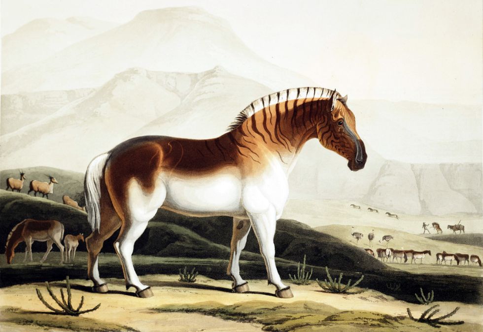 10 Extinct Creatures Scientists Are Trying To Bring Back To Life