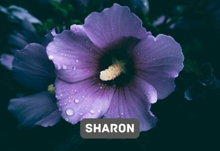 20 Baby Names That Were Popular in the 1950s - Oldest.org