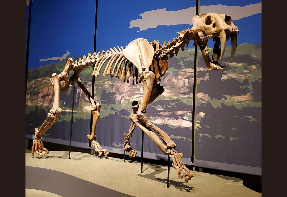 Prehistoric Hunters: 17 Creatures That Ruled With Teeth & Claws