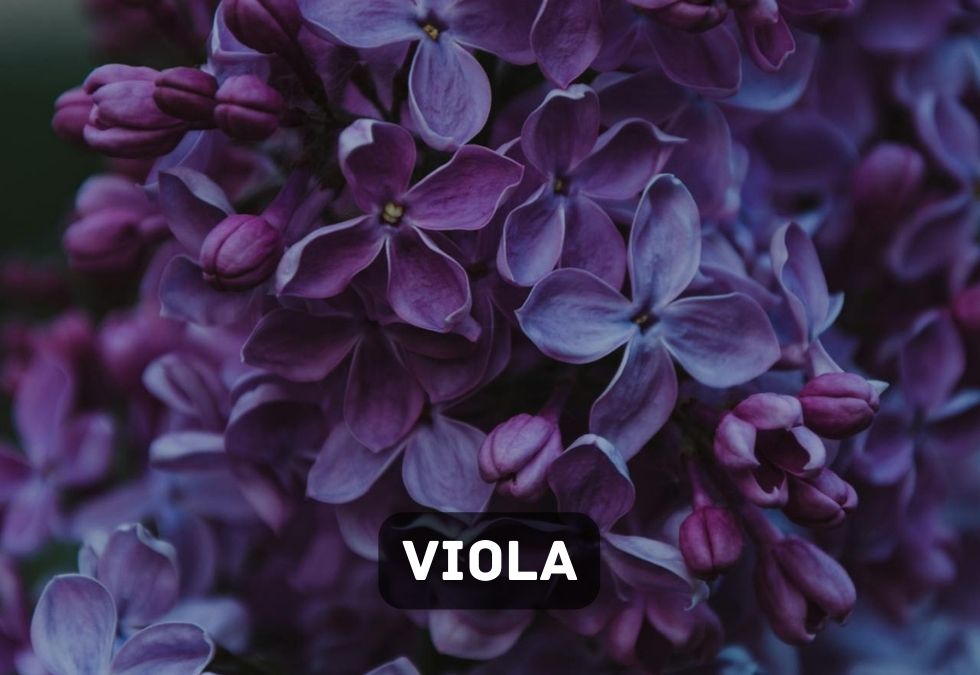 25 Girl Names That Aren't Overused At All - Oldest.org